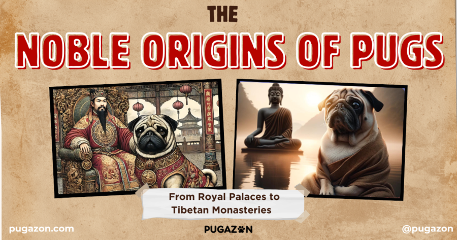 Iconic Pugs in History: Their Remarkable Stories