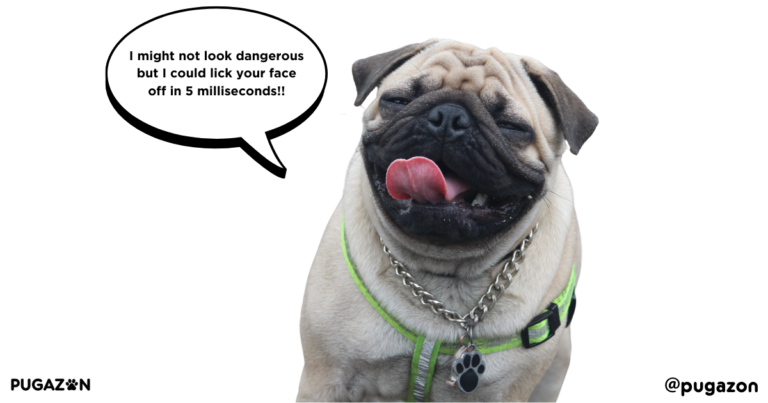 Pug Behavior Training: Correcting Common Pug Behavioral Issues
