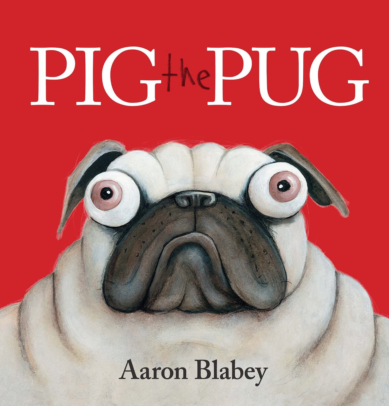 Pig the Pug – Amazon Children’s Story Book Review for Kids
