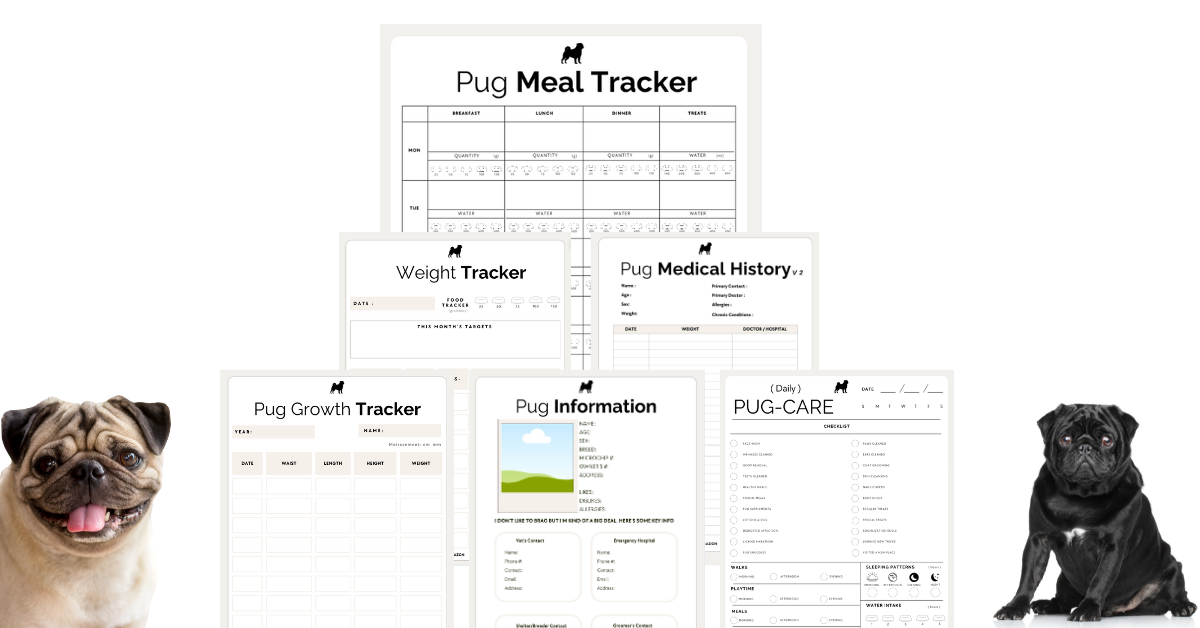 Me & Pug Pack Landing Page V1 - Pugazon
